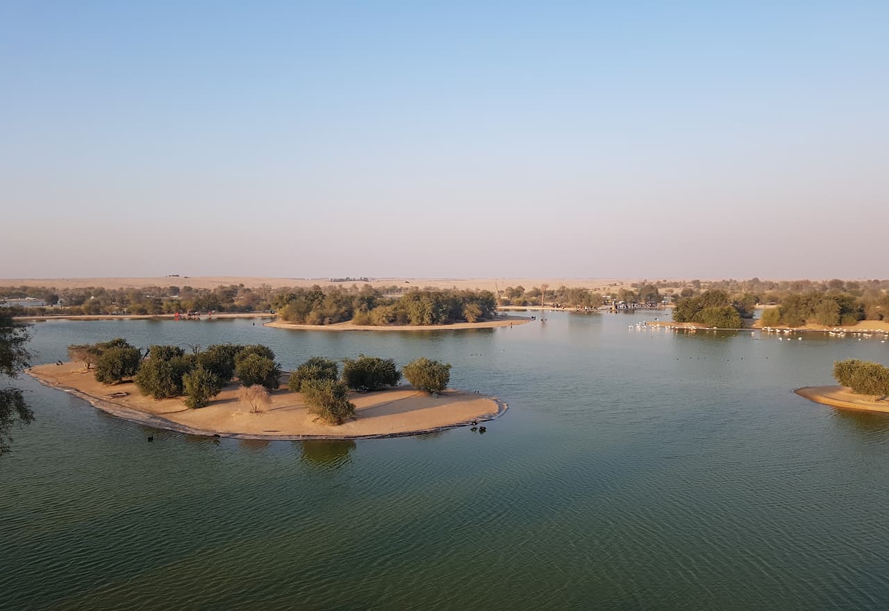 Al Qudra Lake: Nature’s Hidden Gem in Dubai’s Desert - Sallet Al Sayad